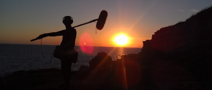 Unique sound effects from Denmark – an interview with Sonic Salute ...