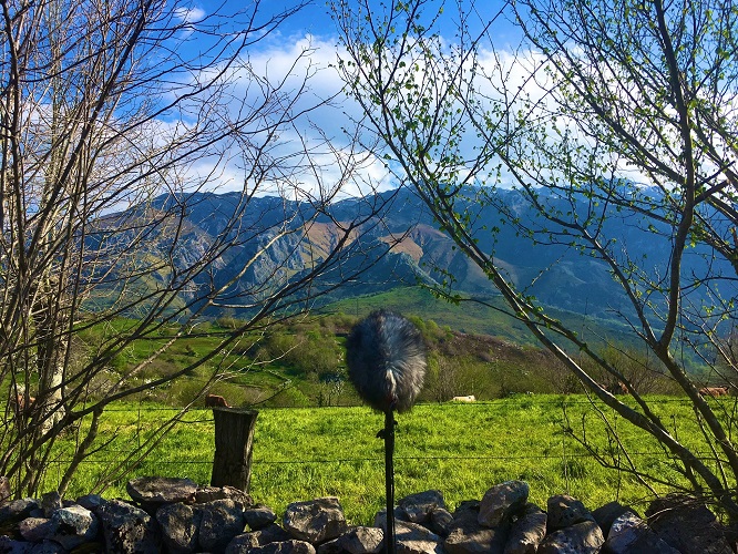 Open Countryside | Countryside Sound Effects Library | asoundeffect.com