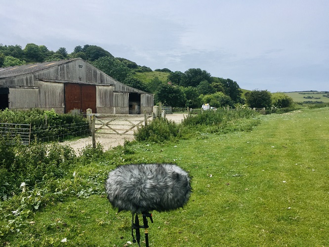 Open Countryside | Countryside Sound Effects Library | asoundeffect.com