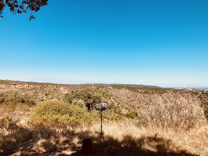 Open Countryside | Countryside Sound Effects Library | asoundeffect.com