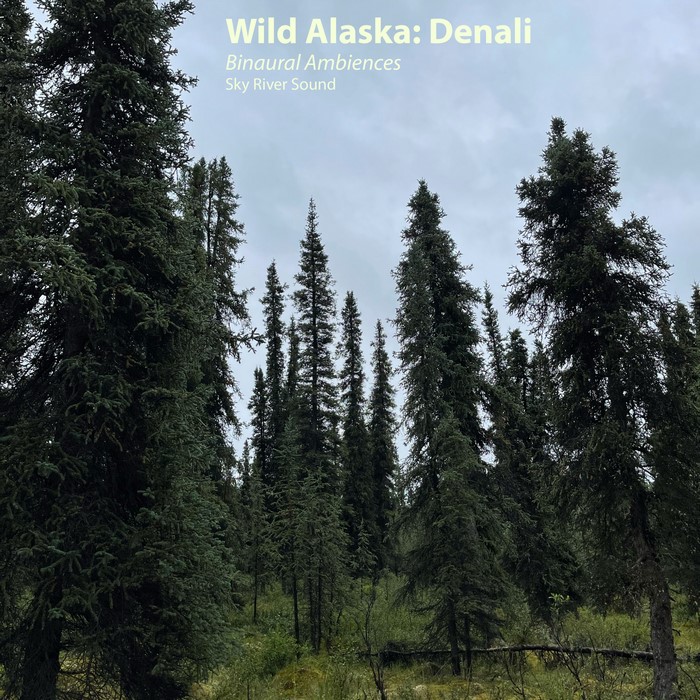 Wild Alaska - Denali - Binaural Ambiences | Nature Sound Effects ...