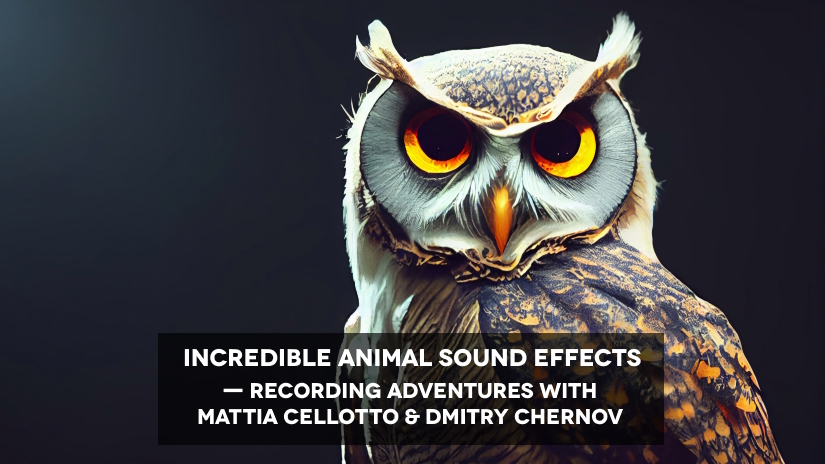 Incredible animal sound effects - recording adventures with Mattia ...